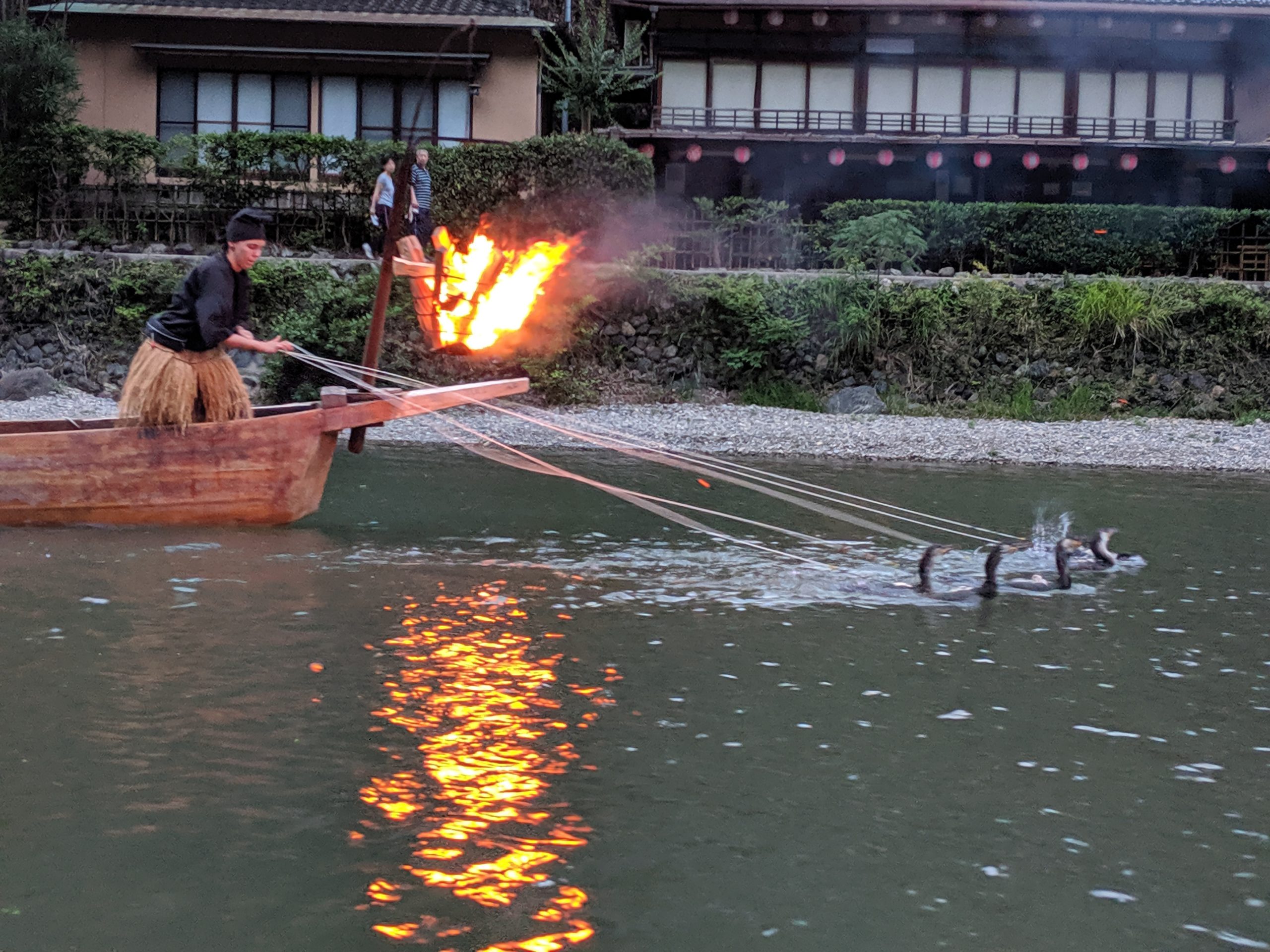 Ukai (Cormorant Fishing) – The So Far