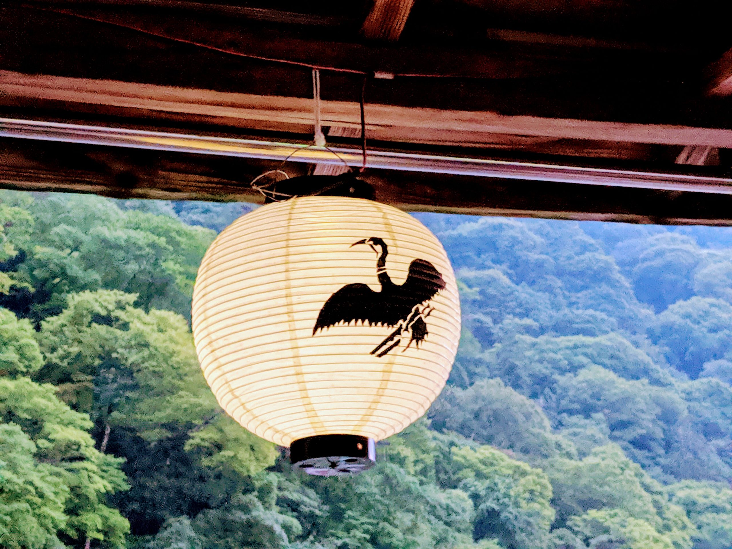 Ukai (Cormorant Fishing) – The So Far